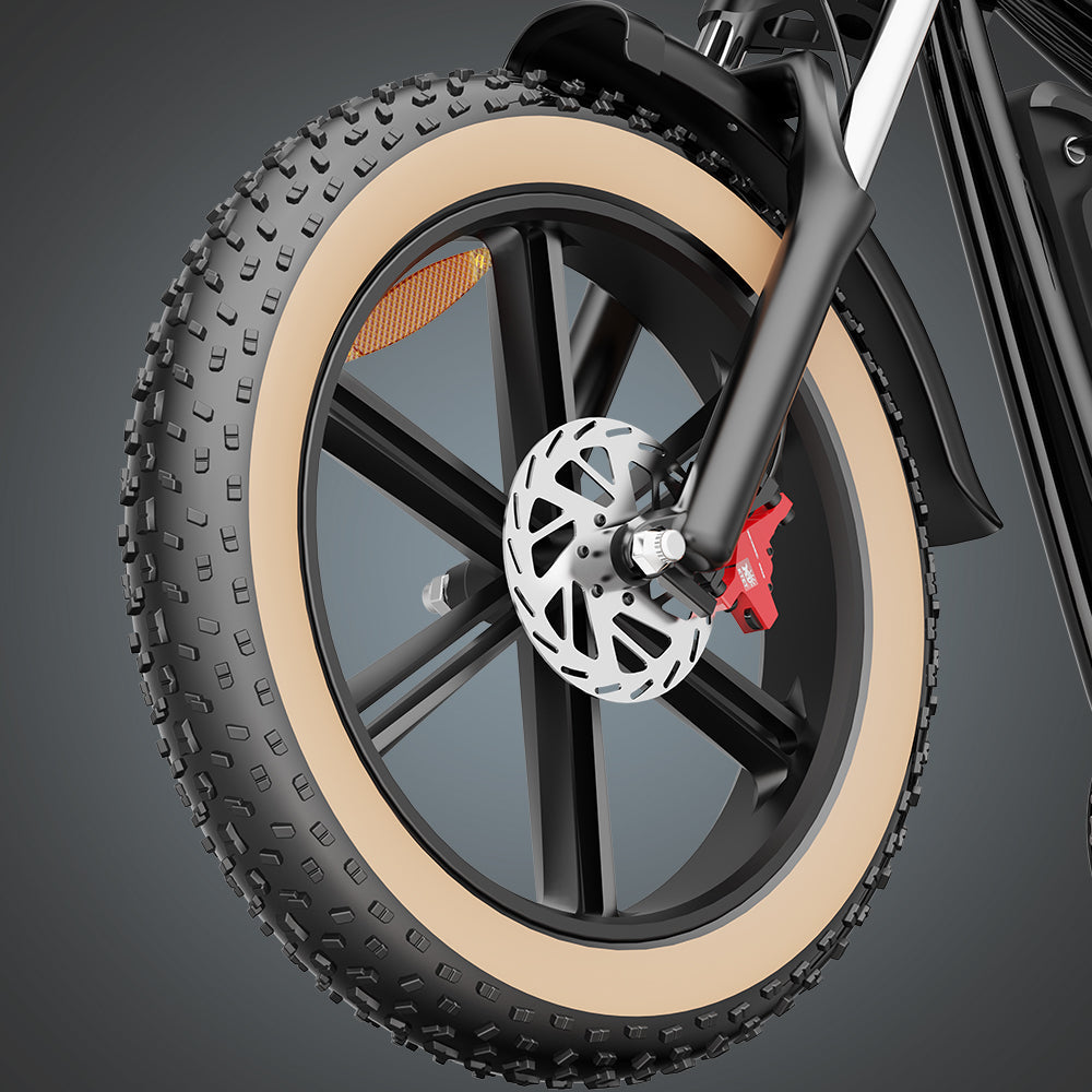 RIDSTAR Q20 20" Fat Tires Electric Bikes 1000W Motor 48V 20Ah Battery ...